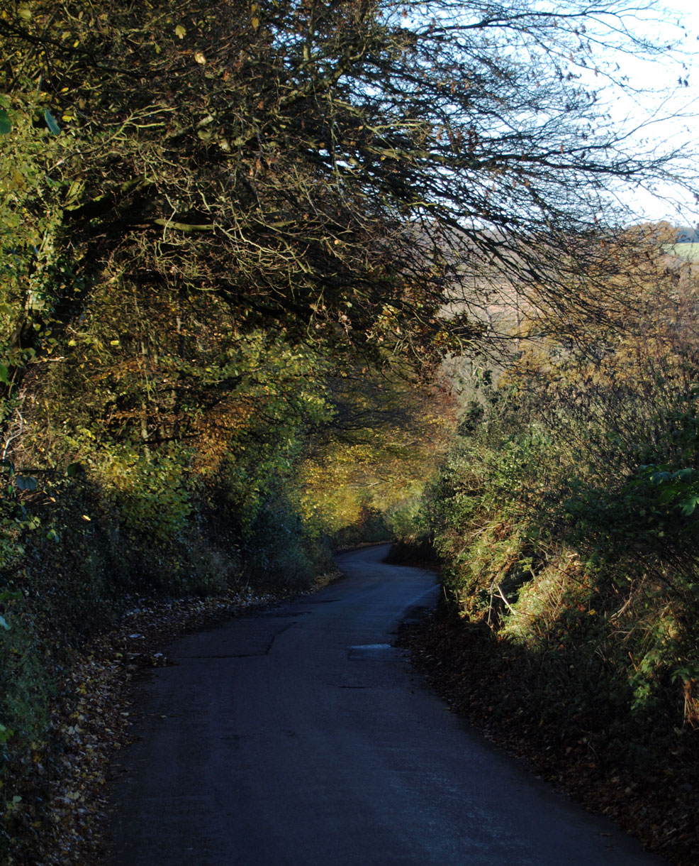 Next Steps – Leather Lane Conservation Group